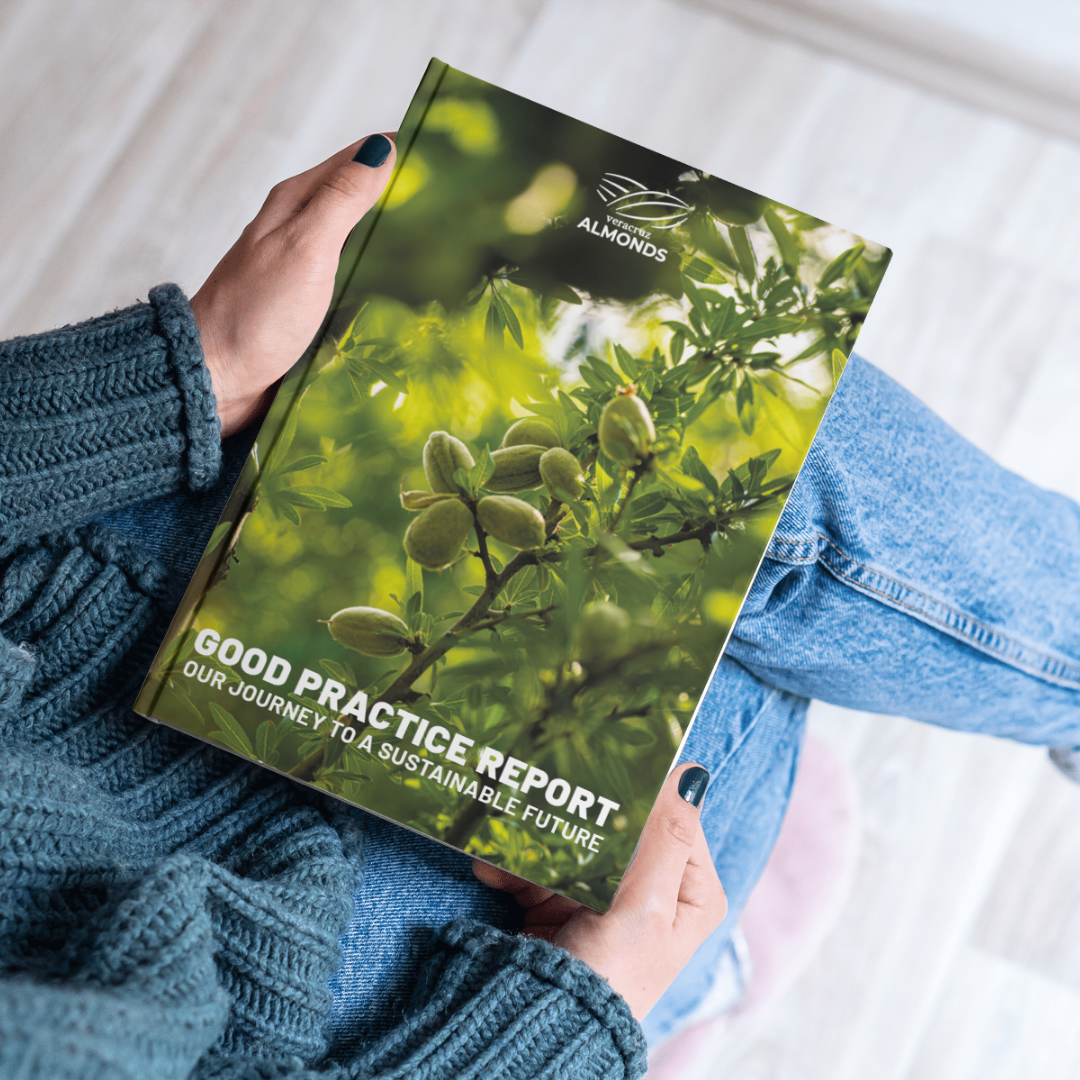 Good Practice Report | VeracruzVeracruz